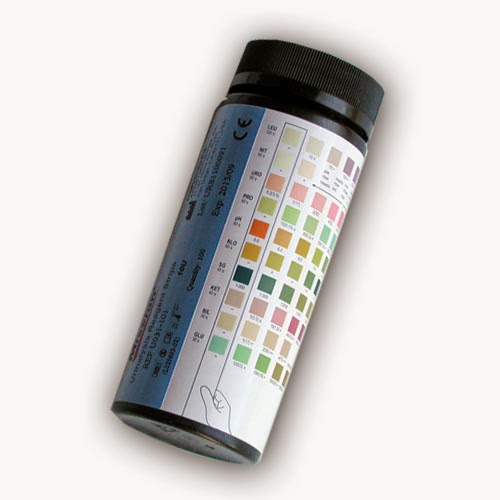 "Rational Preparedness" : The Blog: The Emergency Value of Dipstick ...