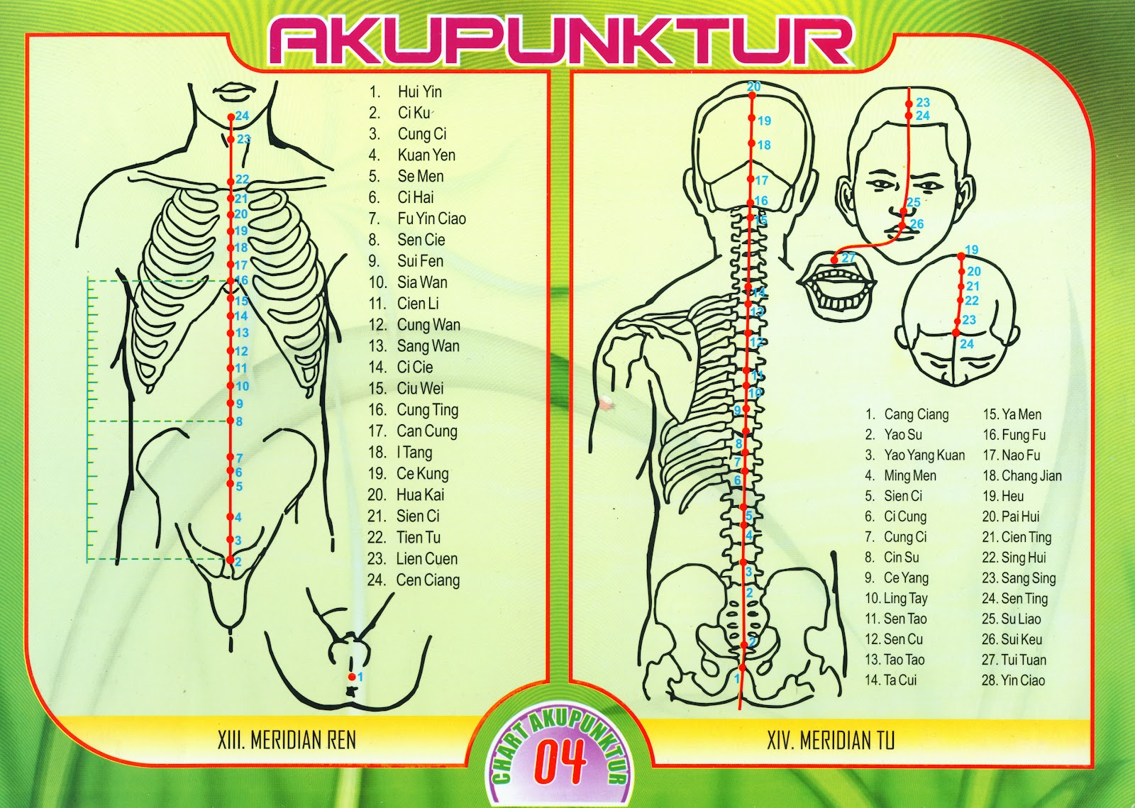 WA: 087839711576 - RUMAH TERAPI THIBBUN NABAWI JOGJA: TITIK MERIDIAN ...