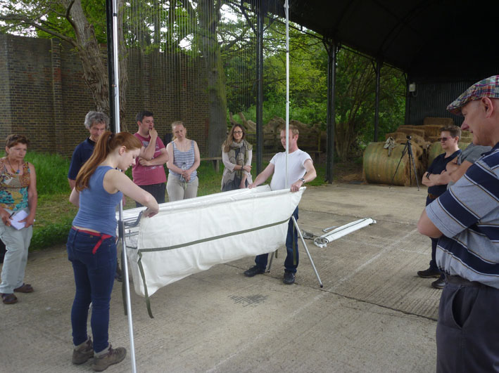 Harp Trapping for bats in Richmond Park