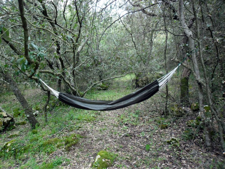 LA NOSTRA TERRA: Una passeggiata a ... Bosco di Baulì