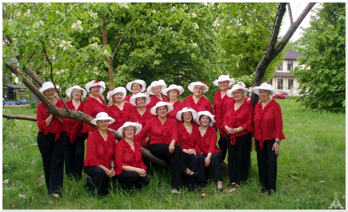 Ādažu novads cauri gadu simtiem bildēs: Līnijdejas