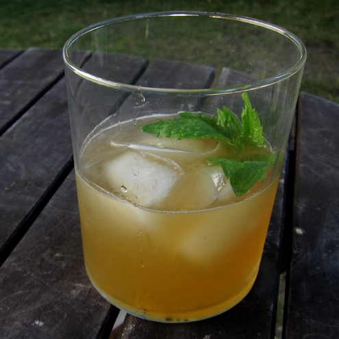 Elizabeth's Edible Experience: Porch Fest