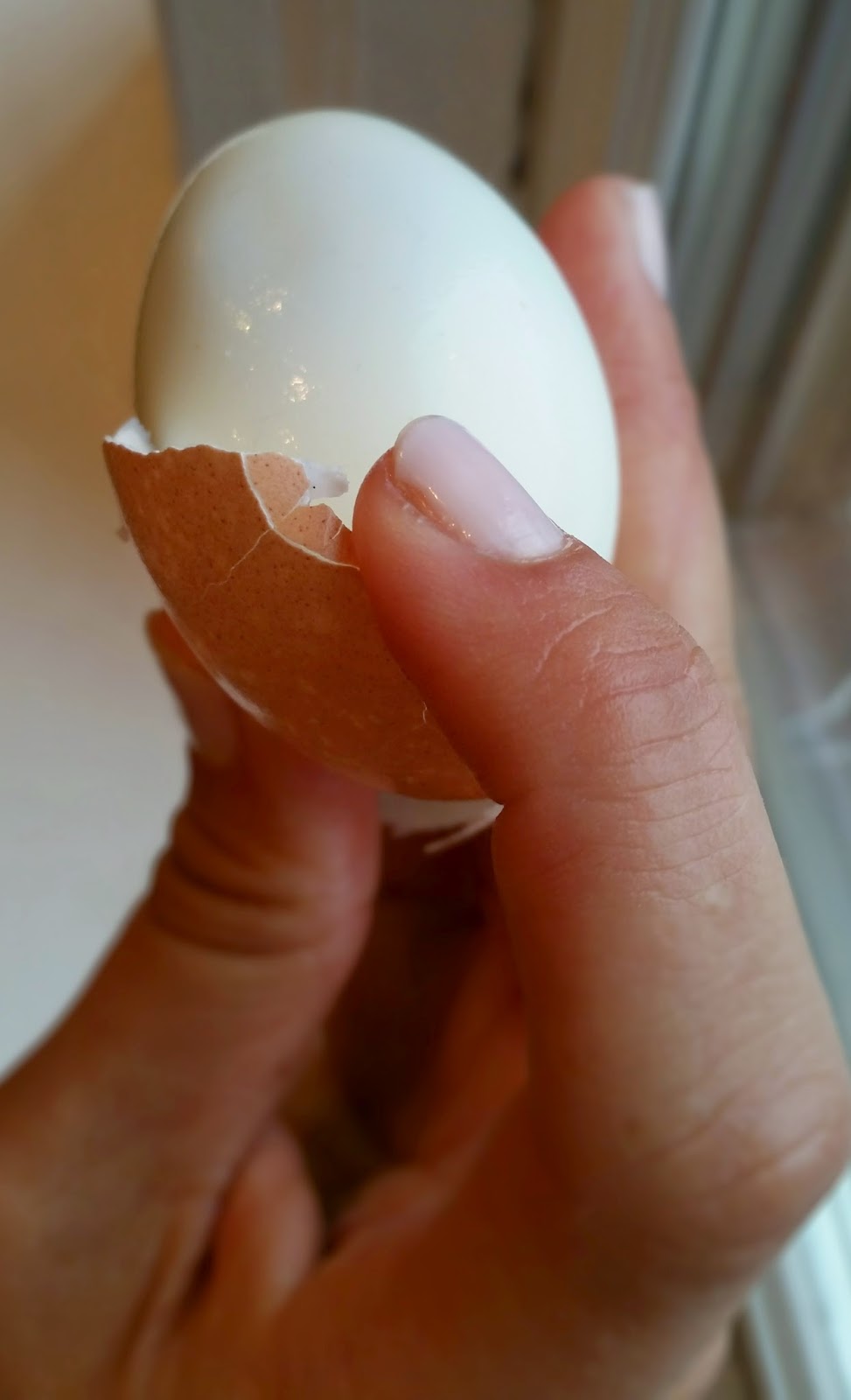 Let's Talk About Eggs...