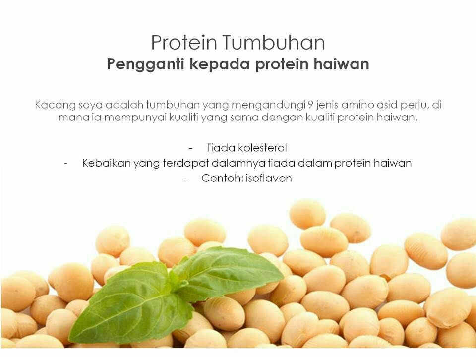 Kekal Sihat Dan Cantik: Kenapa protein berasaskan tumbuhan menjadi ...