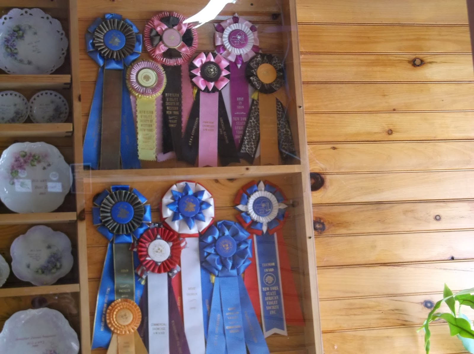 New York State of Mind: THE VIOLET BARN, NAPLES, NEW YORK