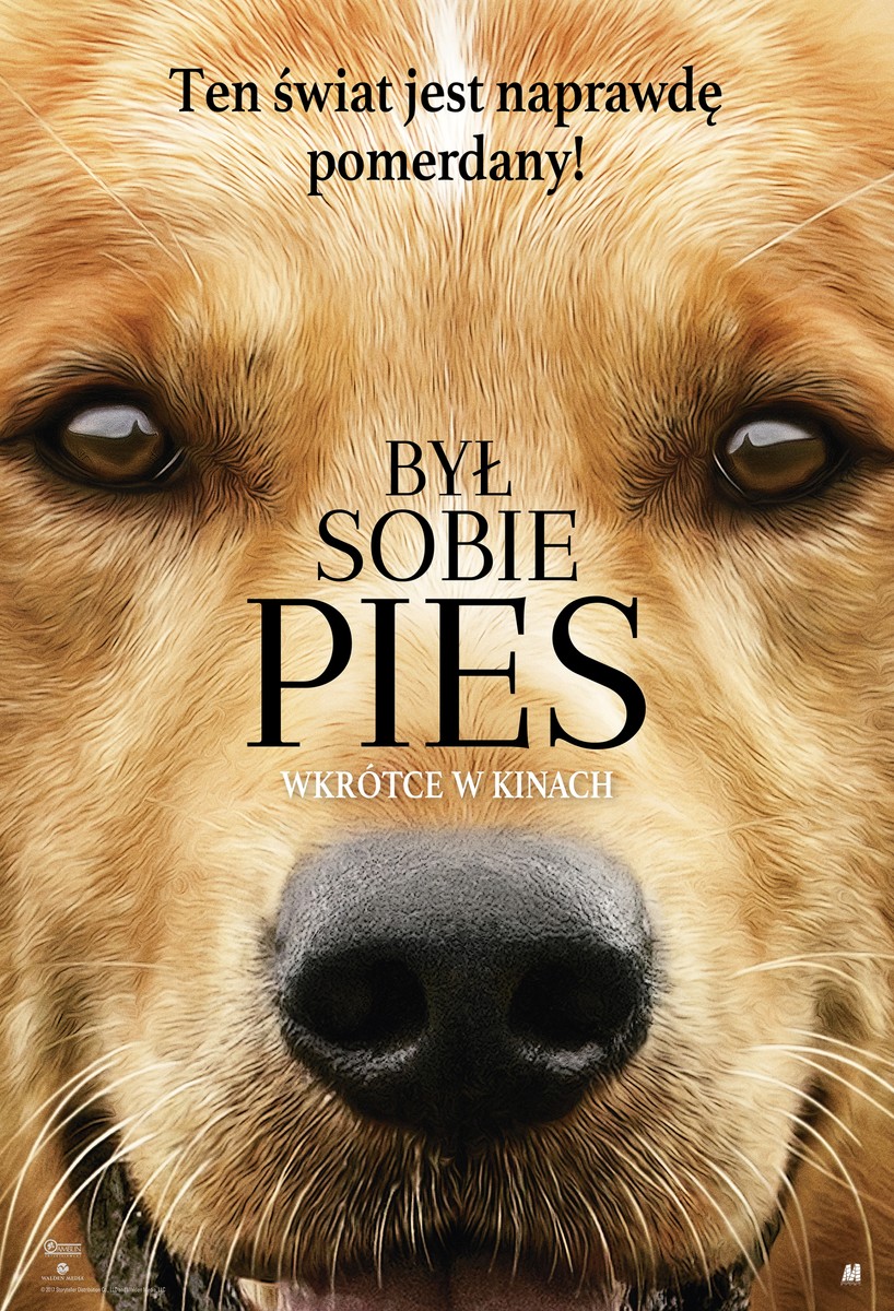 NASZ SUCHEDNIÓW: W kinie "Był sobie pies"