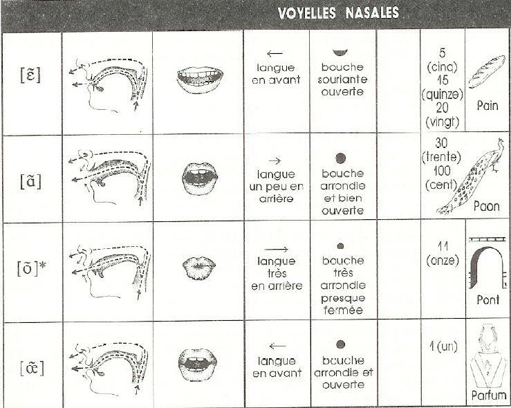 Français3: Les voyelles nasales