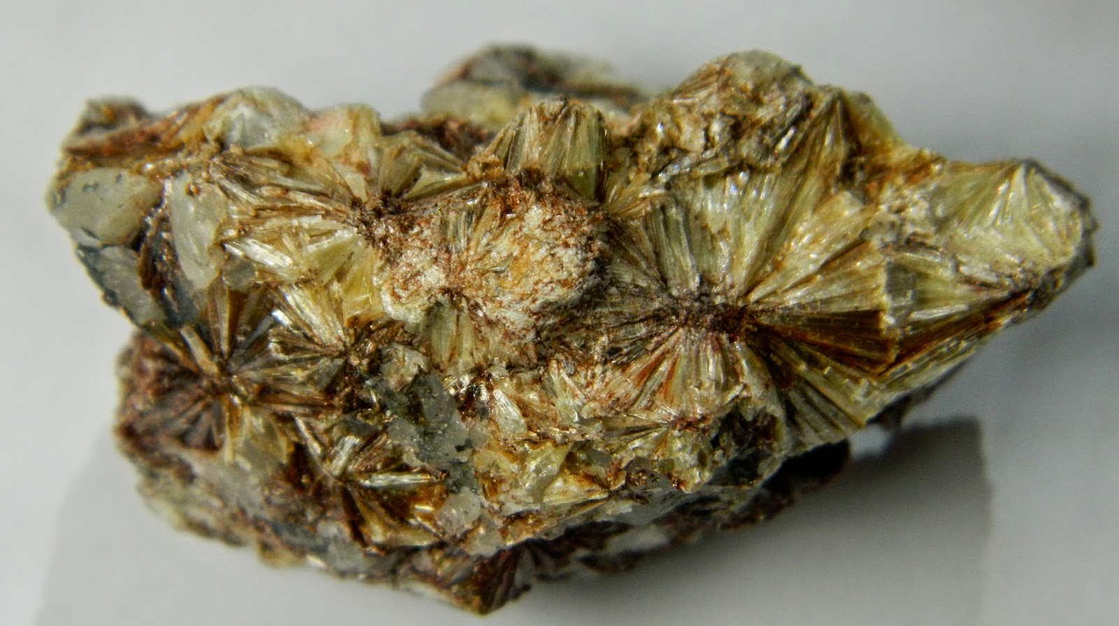 CSMS GEOLOGY POST: PYROPHYLLITE: TUCSON GEM SHOW REPORTS: MINERS CO-OP