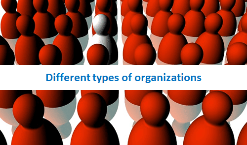 Business Intelligence Watching: Different types of organizations