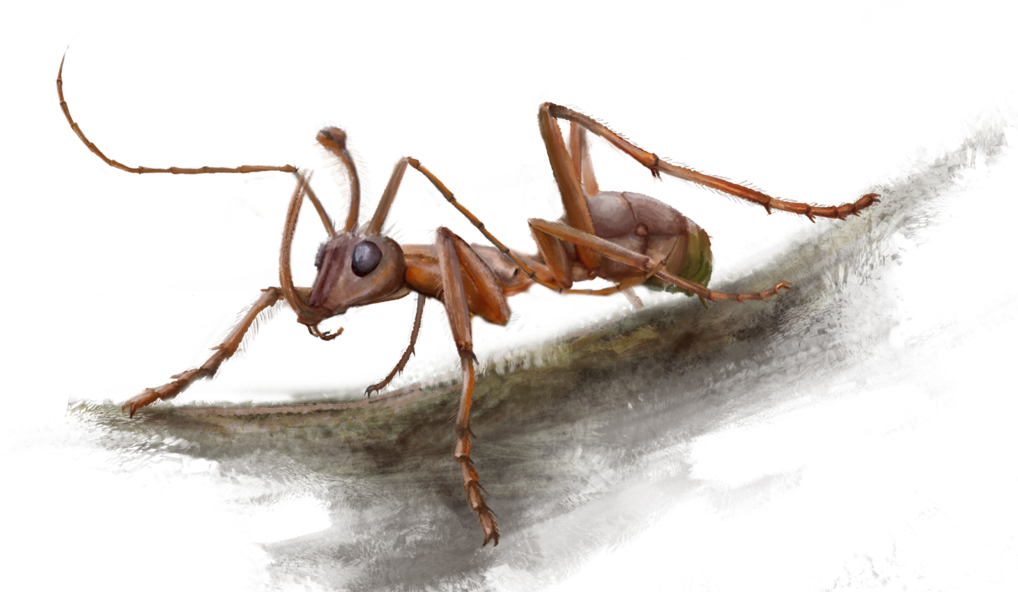 Species New to Science: [PaleoEntomology • 2016] Ceratomyrmex ...