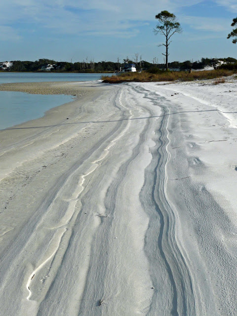 Last Dance: Florida Panhandle - Miscellaneous Ramblings