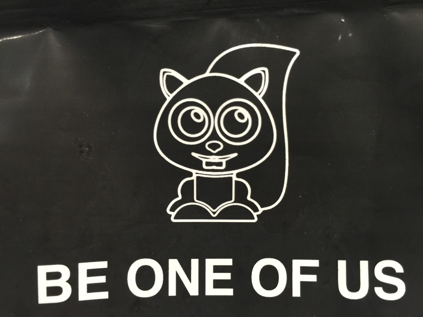 Blooming With Marley Bee: Join the Movement: Koffee Kult