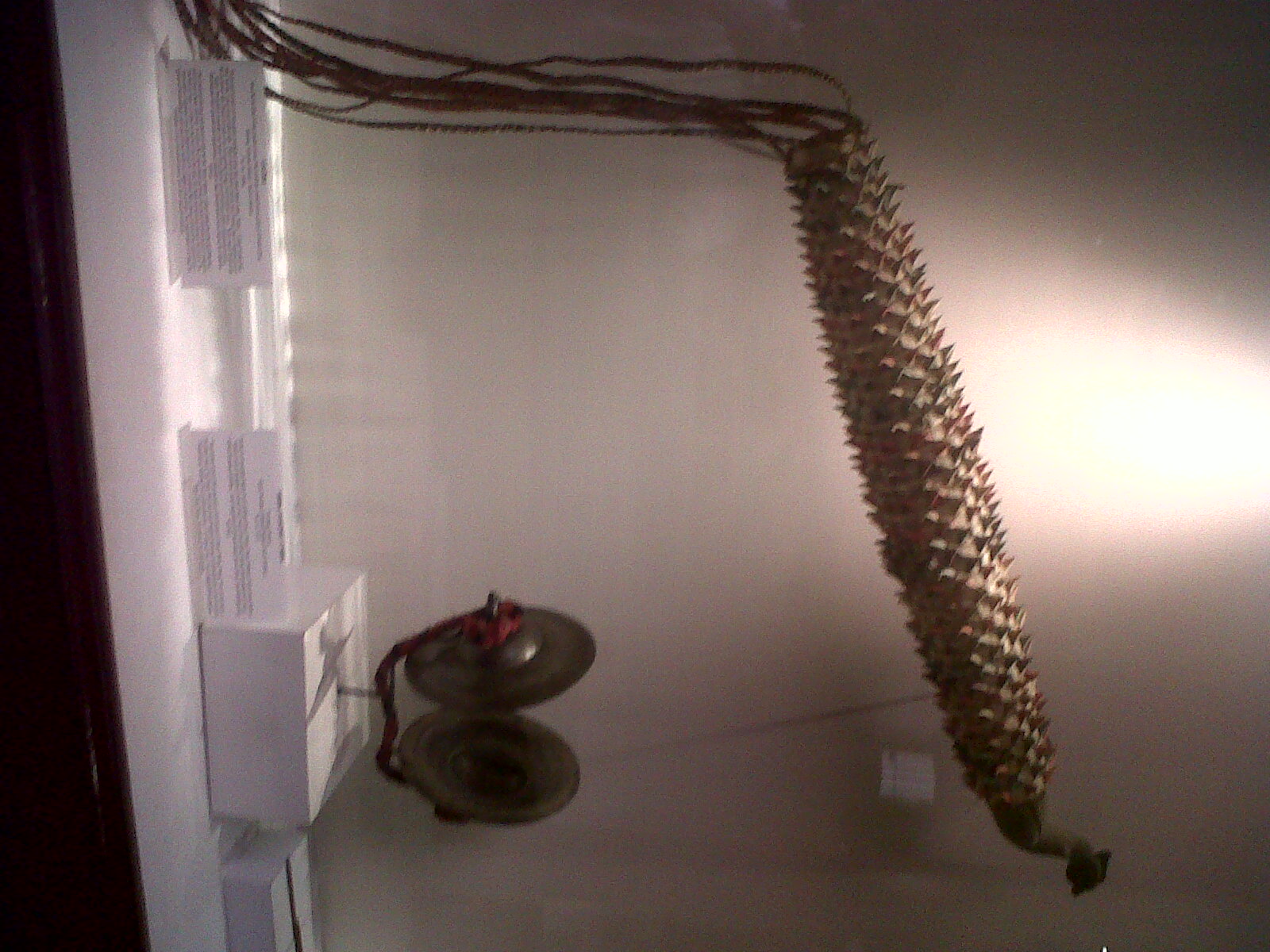 Labsky Historical Seeker: Saya dan Museum Gajah, Toraja Sebagai Aset ...