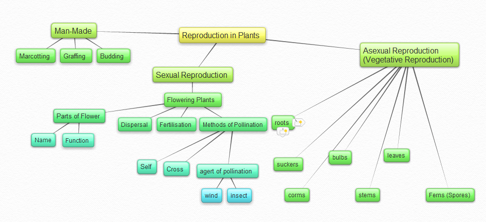 2p333's Science E-Portfolio 2012: Term 2