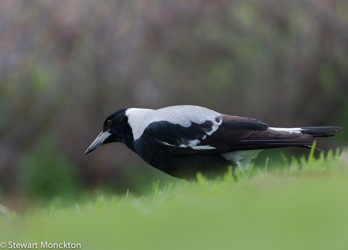 Paying Ready Attention - Photo Gallery: Seven for a Secret