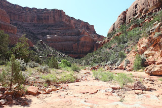 FISH CREEK CANYON-OWL CREEK CANYON LOOP TRAIL, CEDAR MESA, UTAH - ADAM ...