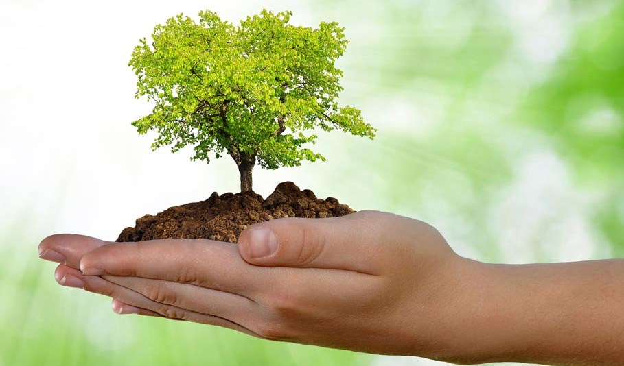 Seja você um agente de transformação no mundo!