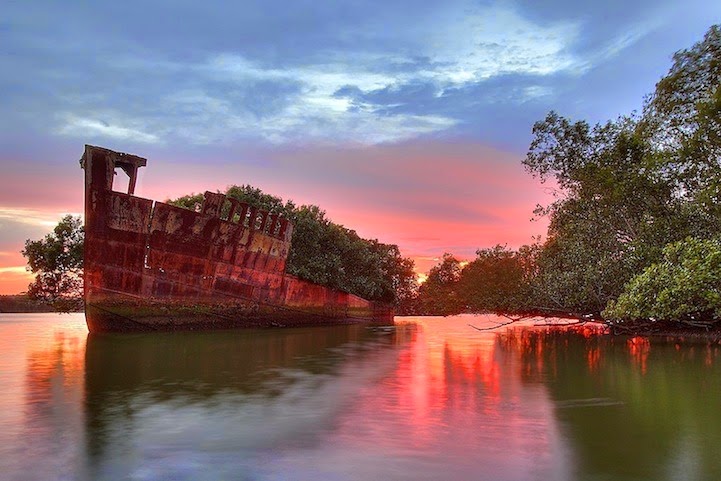 Wanderlust: Amazing Floating Forest in Sydney, Australia