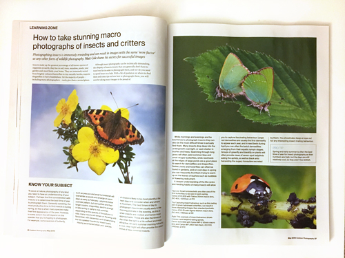 Matt Cole Macro Photography