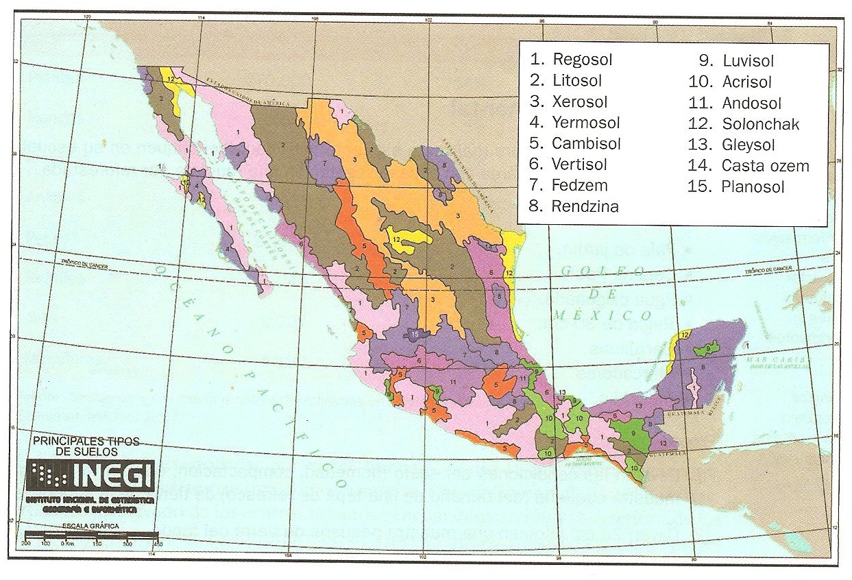 Planeta Verde: Principales tipos de suelo en México