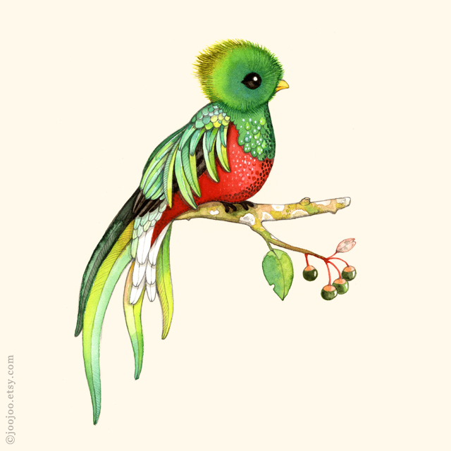joojoo: Q is for Quetzal . Another animal for French ABC poster