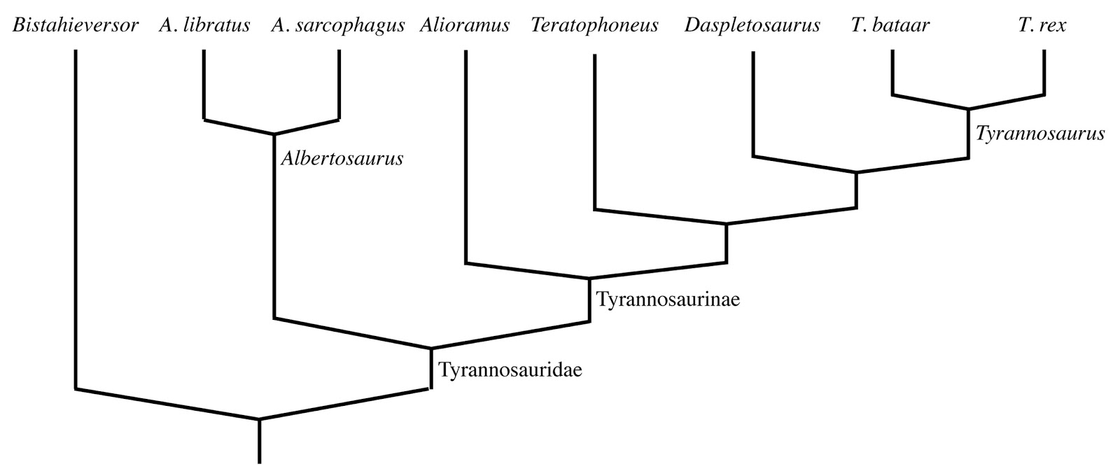 Tyrannosauroidea central: A note on the taxonomy used in this blog