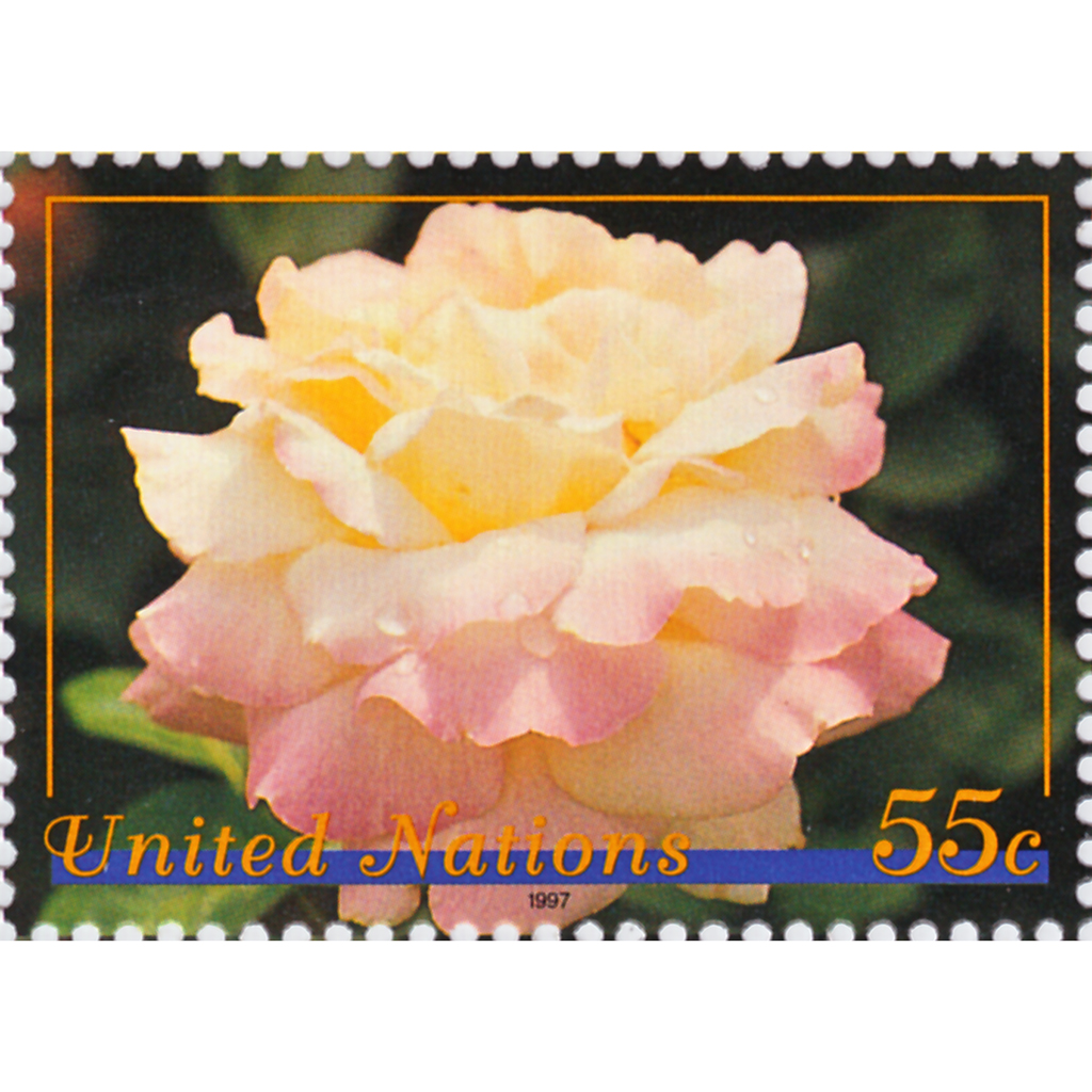 Every Day Is Special: April 29 - Peace Rose Day