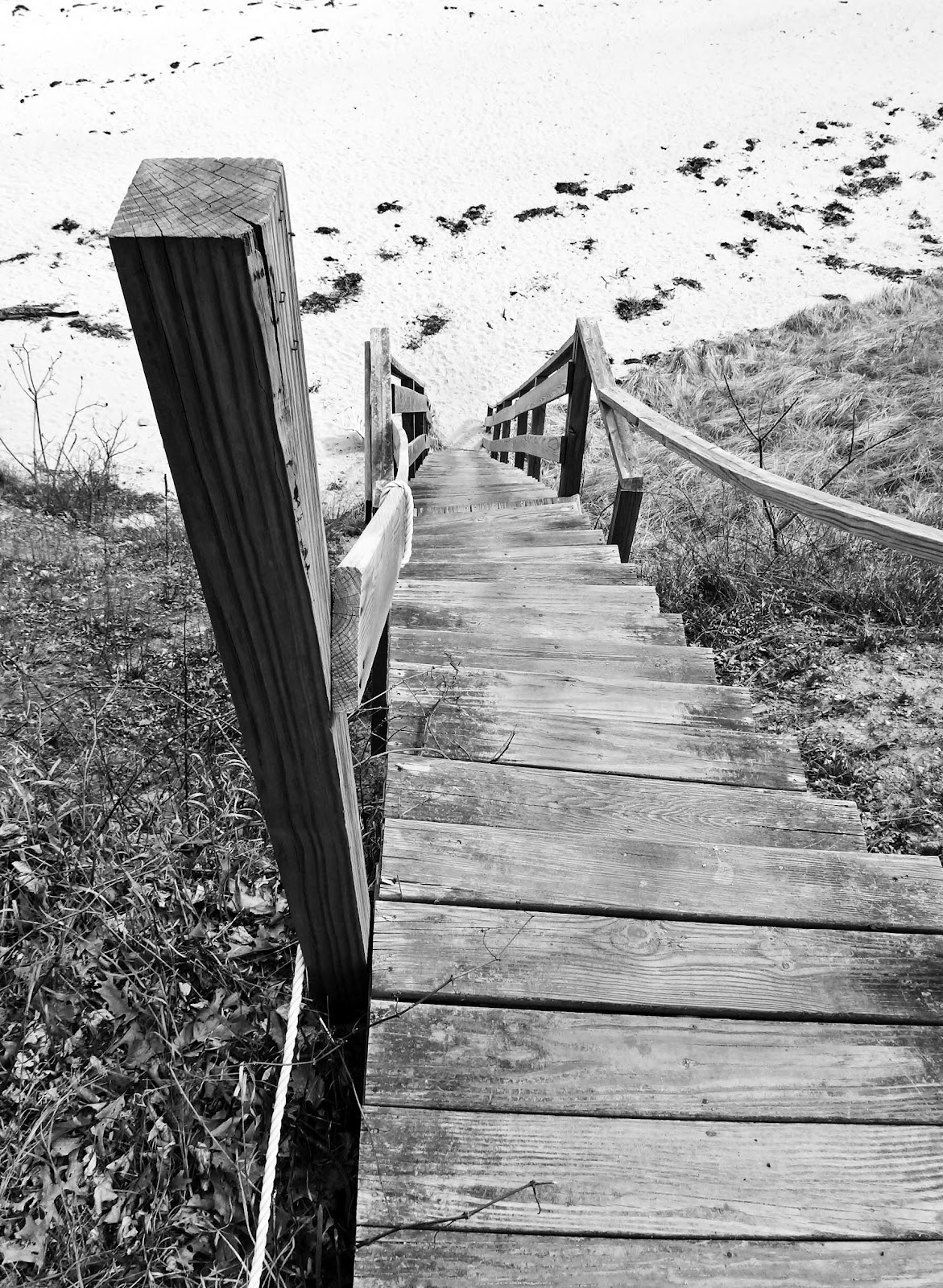 Joe's Retirement Blog: Random Sights, Southeast Massachusetts, USA