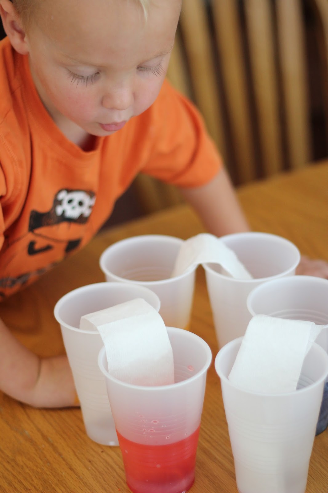 100+ Hands On Science Activities for Kids | Toddler Approved! | Bloglovin’
