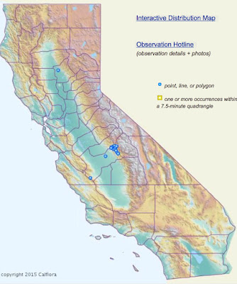 CA Native Garden: Native Plant Guides
