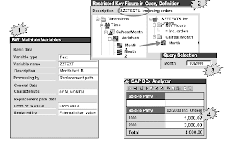 SAP BW Key Figures and Characteristics Continued - SAP ABAP