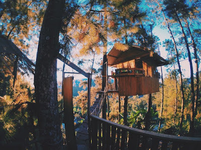 Every Day Is Special: November 18 – Vertières Day in Haiti