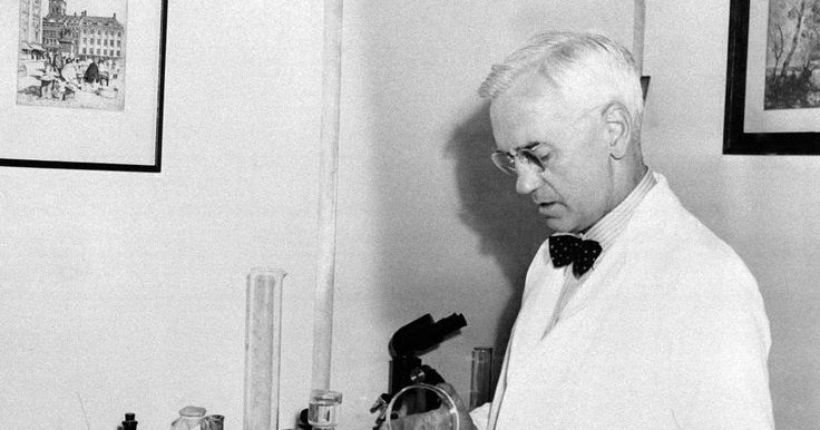 Психология, Здоровье и Бизнес