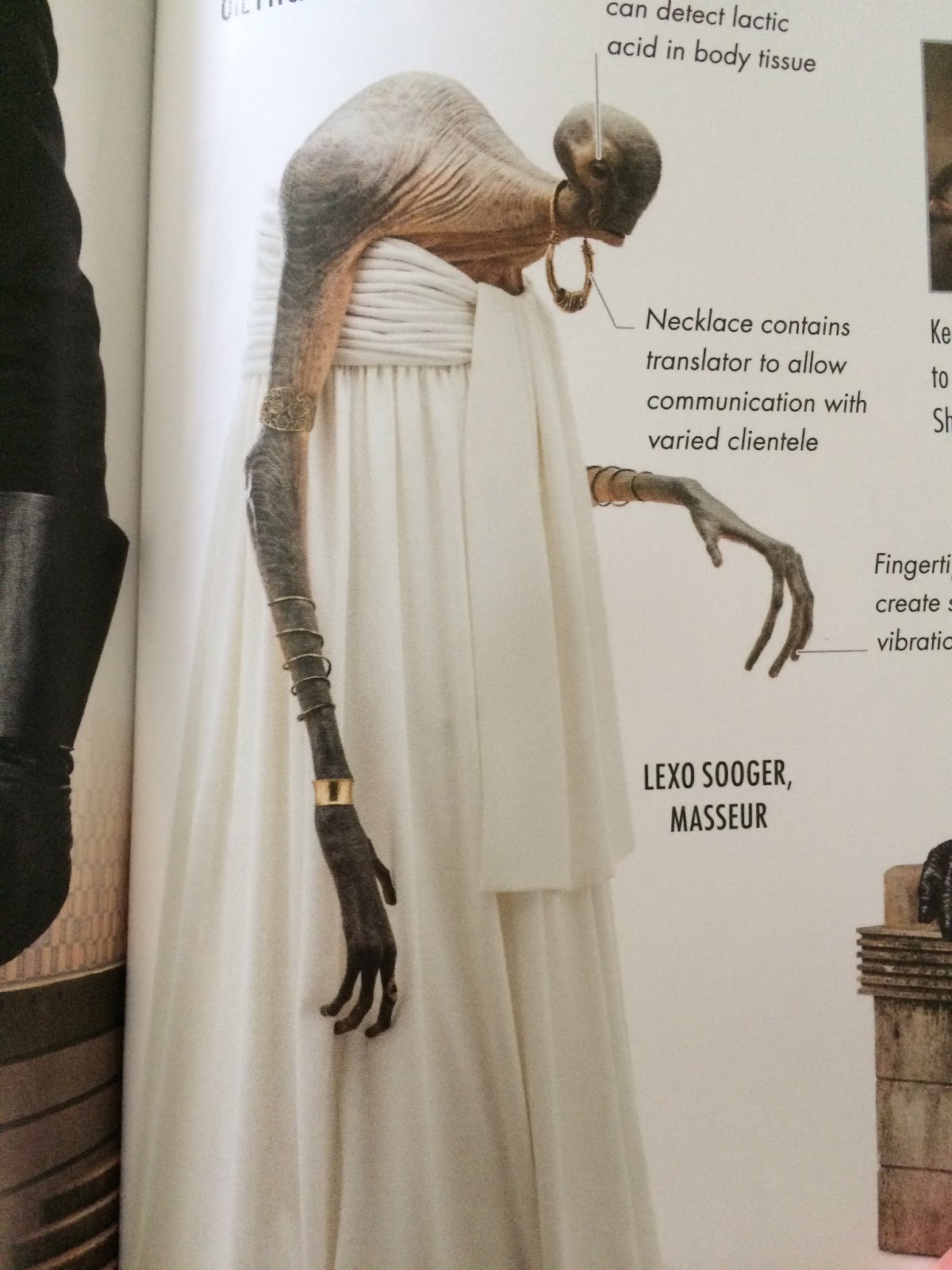 Tierfon Campaign: Canto Bight