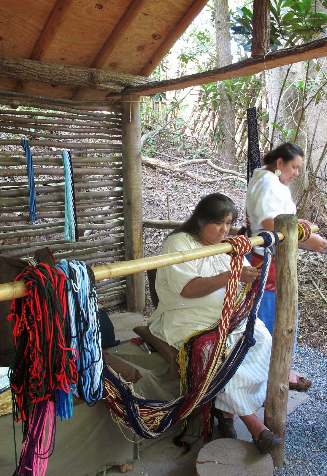 Reflections on Nature, Culture and Society: A visit to the Eastern Cherokee
