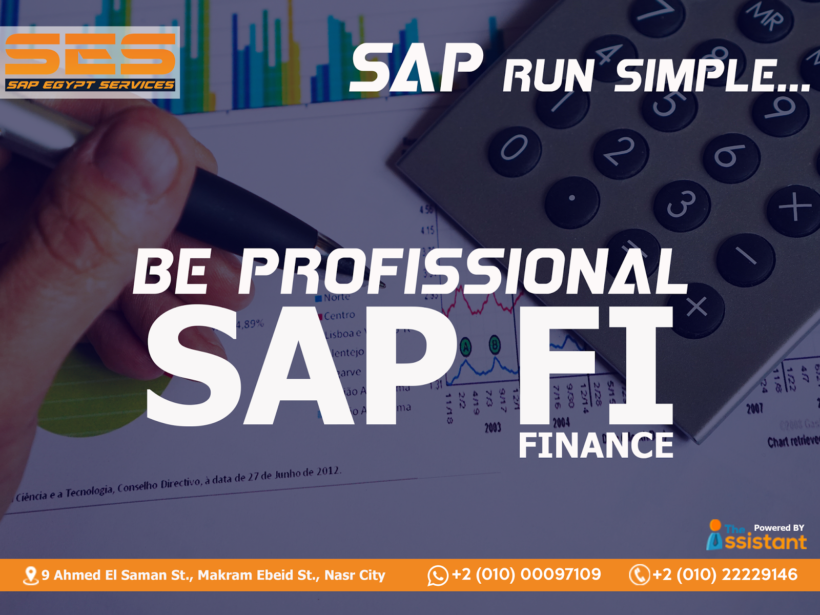 SAP Egypt services: SAP Fi