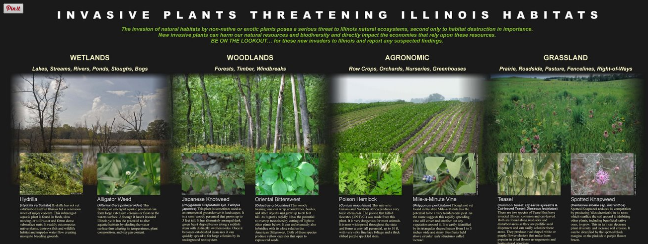 Capitol Outdoors - Illinois' Hunting and Fishing Resource: May is ...