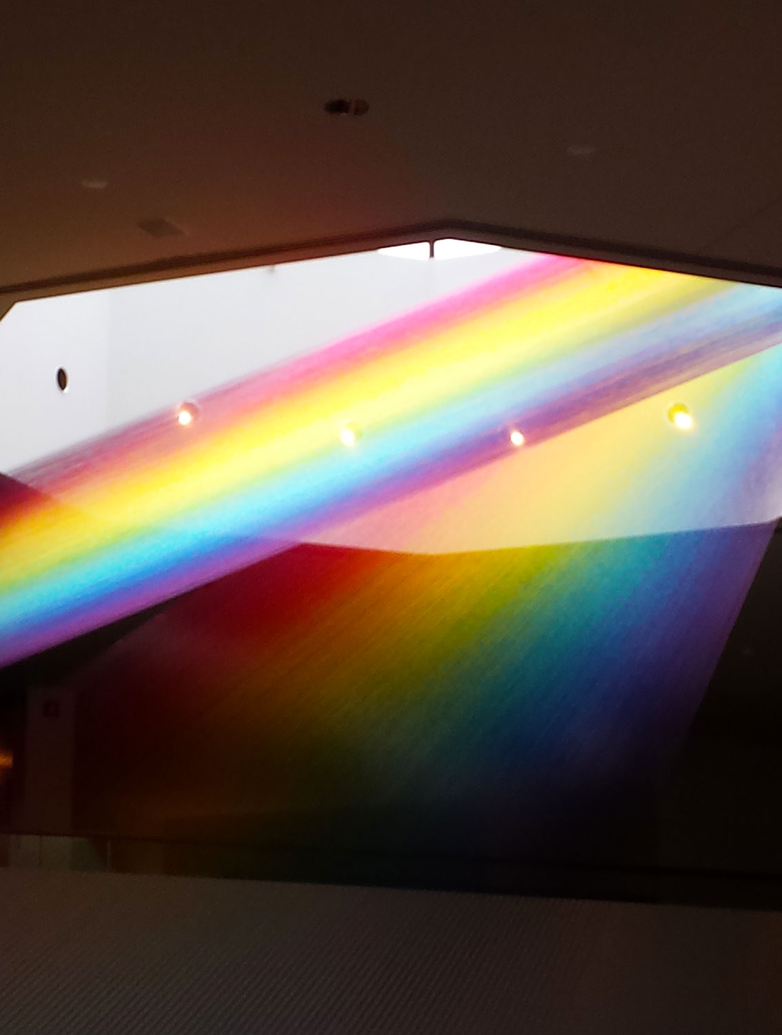 Life Savers: Backlit - Translucent Nature