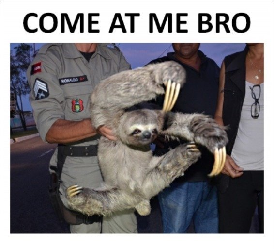 Sociolatte: Come at me Bro Meme