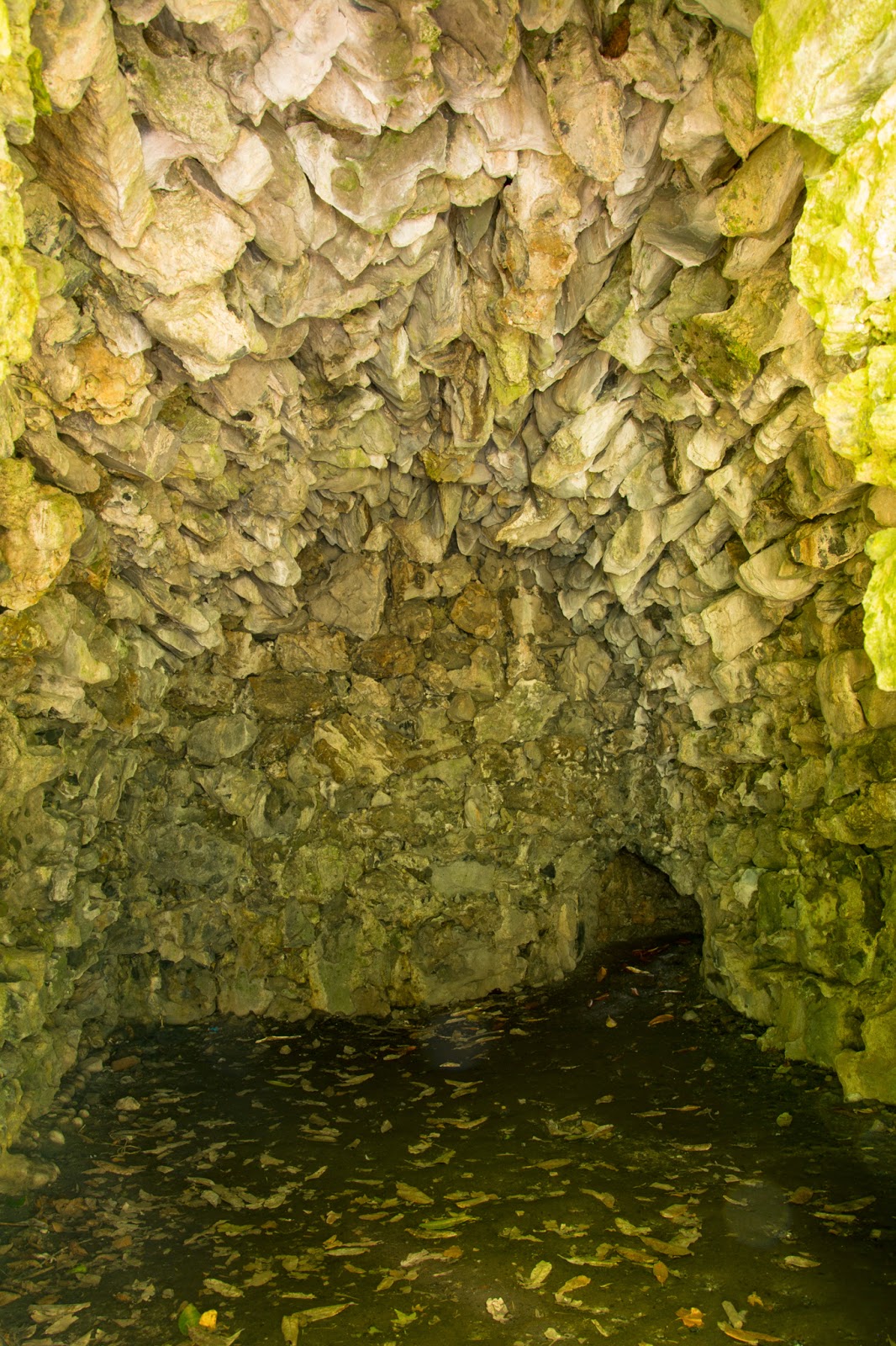 A Tree Falling: Dromoland Castle: Part II