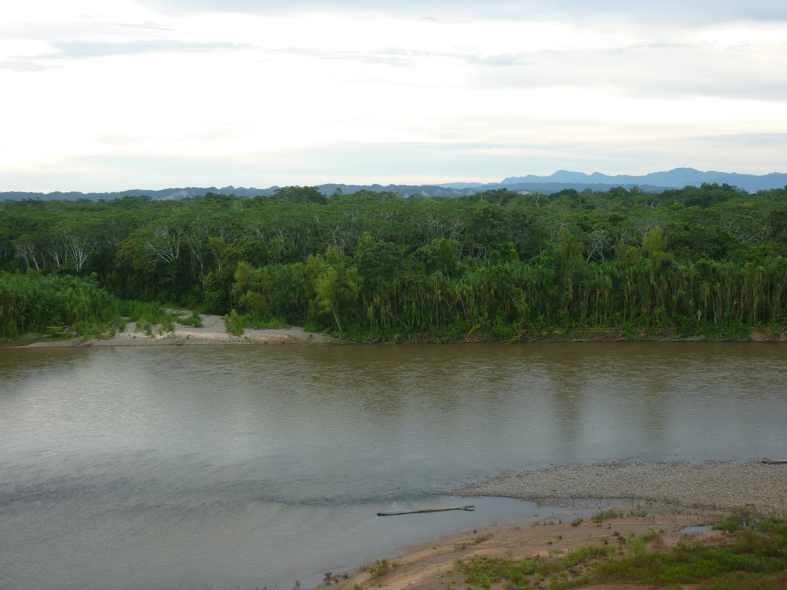 Bolivian Travels - 2012: Day 28 - Rurrenabaque to El Bala
