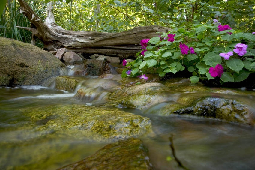 Aquascape Your Landscape: Landscape Transformation: Water Wonderland