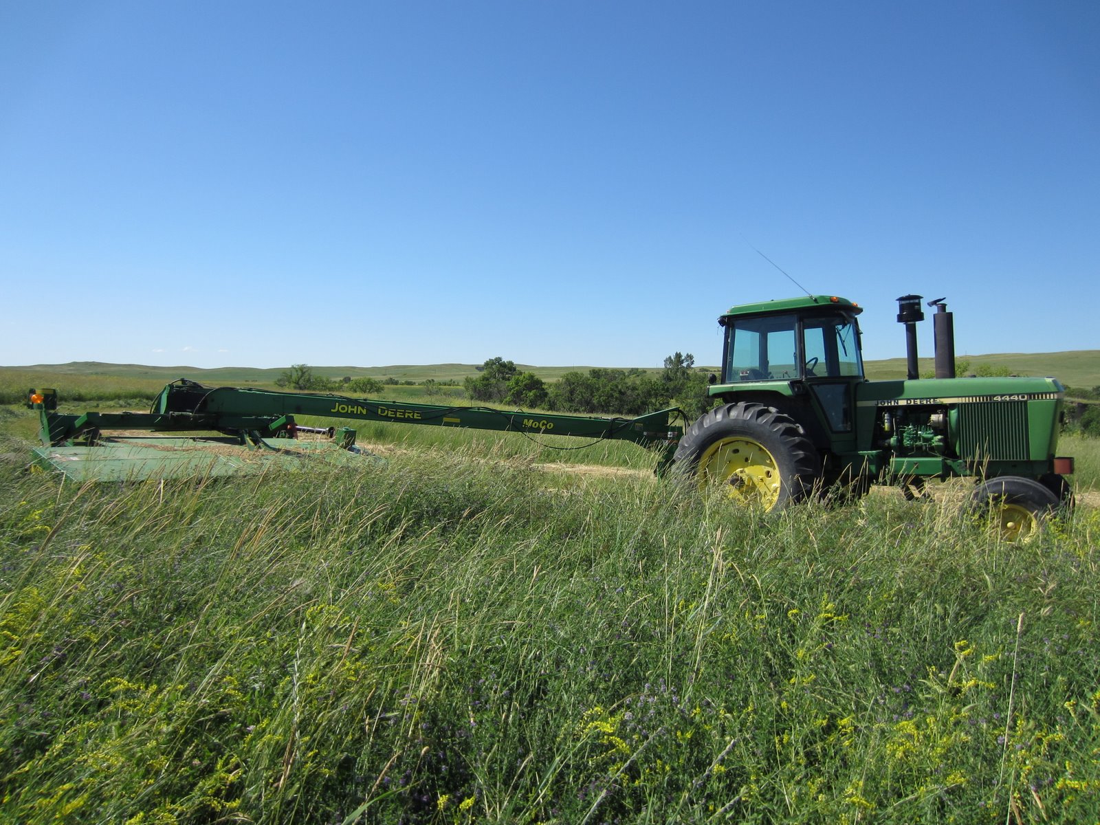 Wings on the Ranch: Cutting Hay