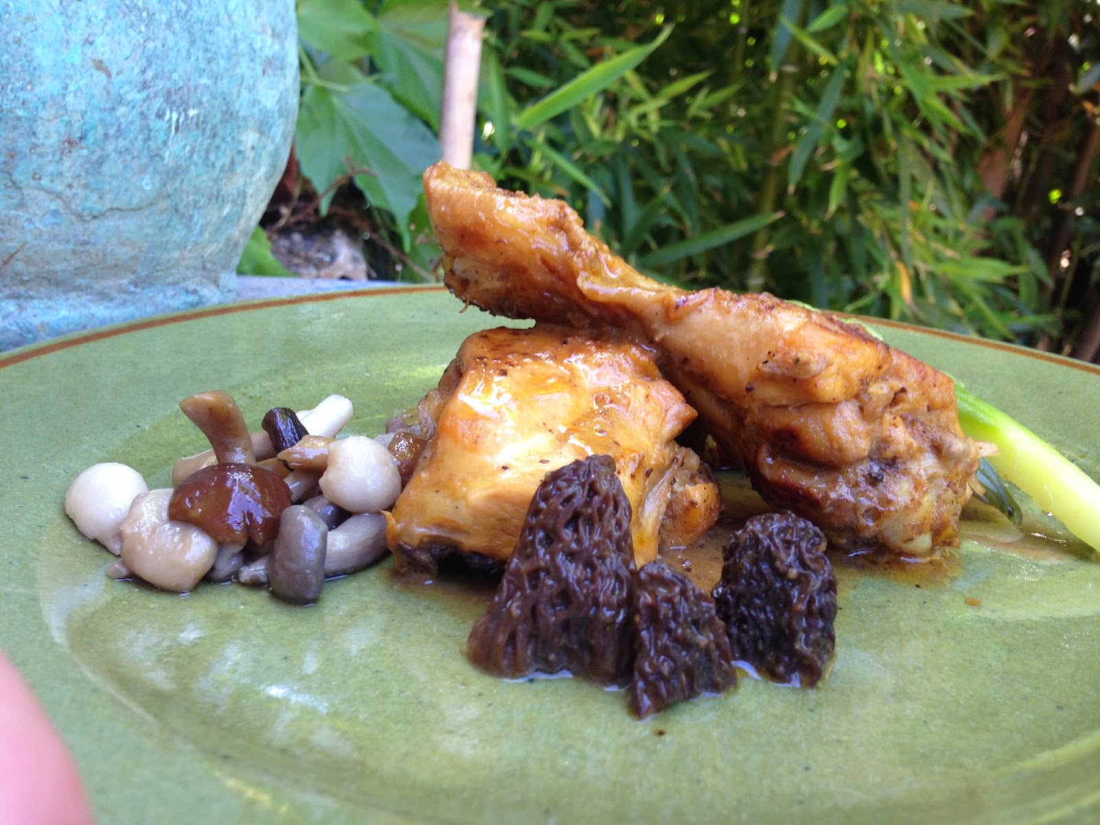 Menjar a Cala Blanca: POLLO CON SETAS DE PRIMAVERA Y VERDURITAS