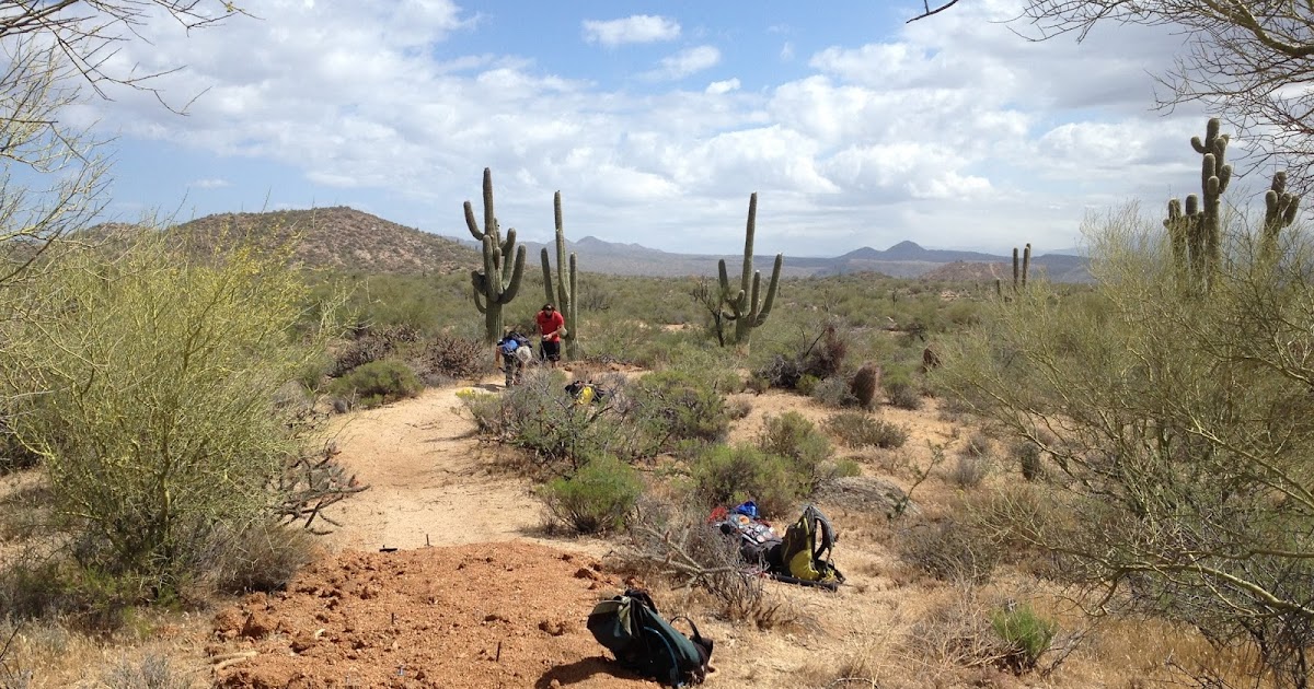 Desert Soils Blog: A busy summer of Sonoran Desert research