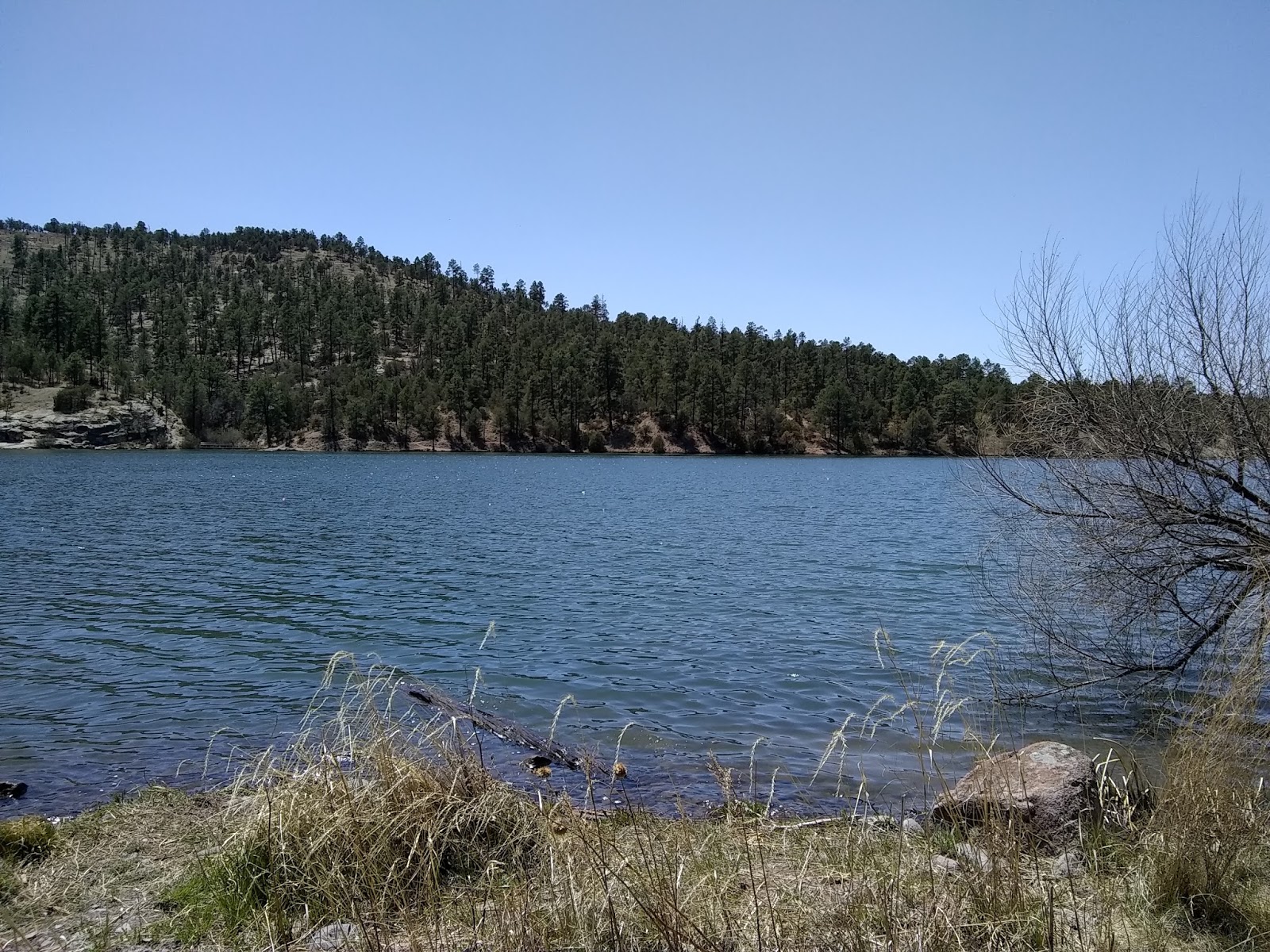 1994 Brave 29RQ RV: Lake Roberts