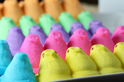 The Adventures of Chef Sean