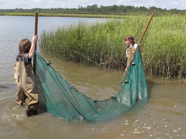 Seining: What's That?