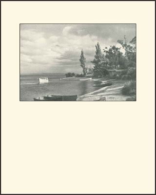 Early New Zealand Photographers: CHANCE, George