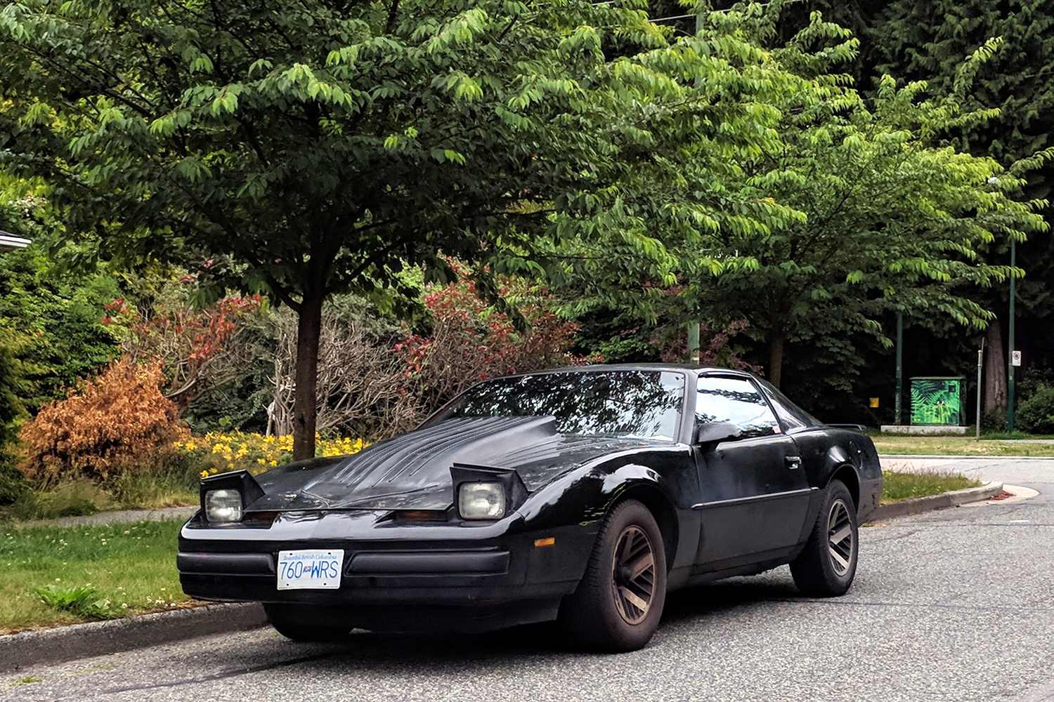 Old Parked Cars Vancouver: 1985 Pontiac Firebird